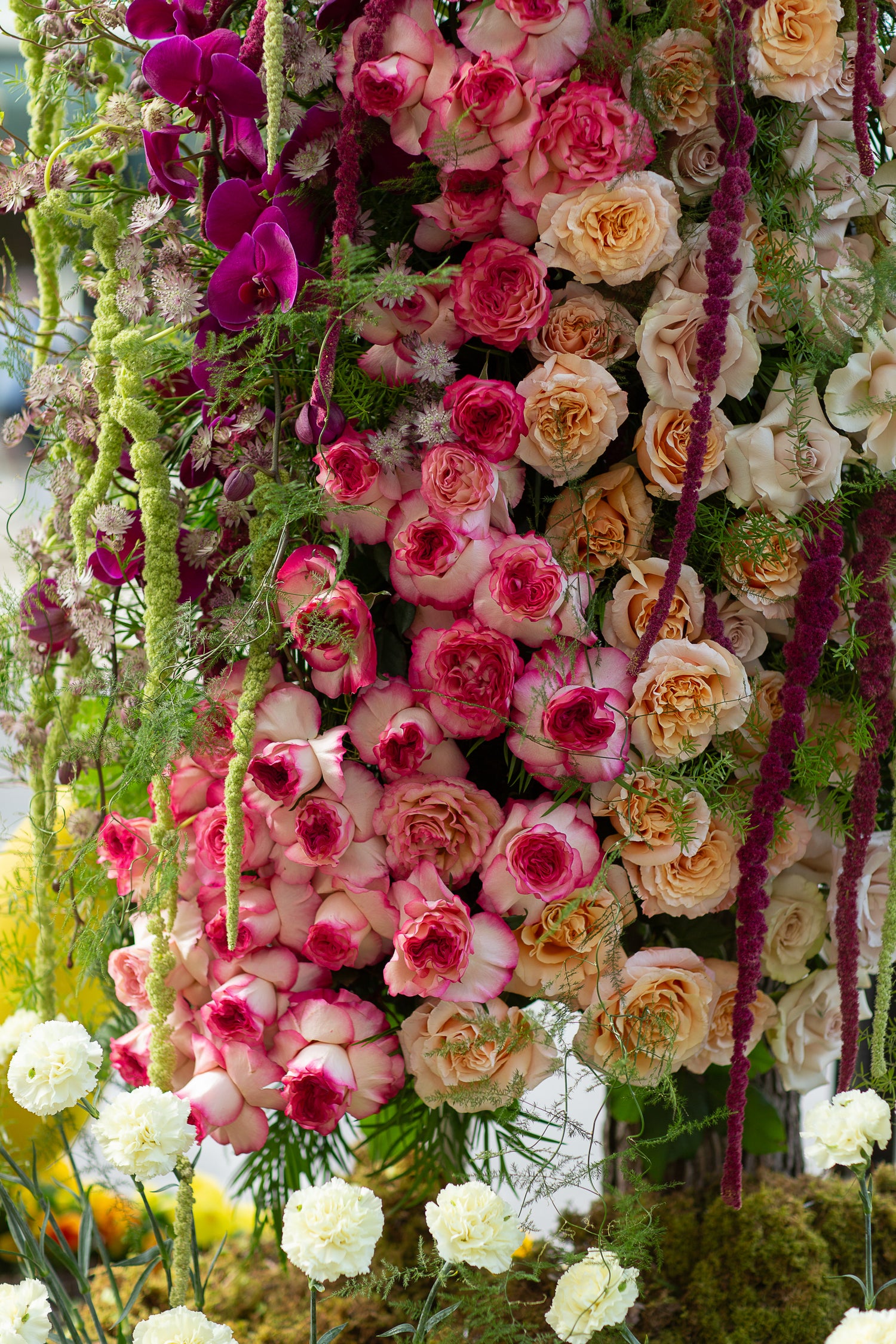 Roza Flowers: Your Destination for Exquisite Floral Creations